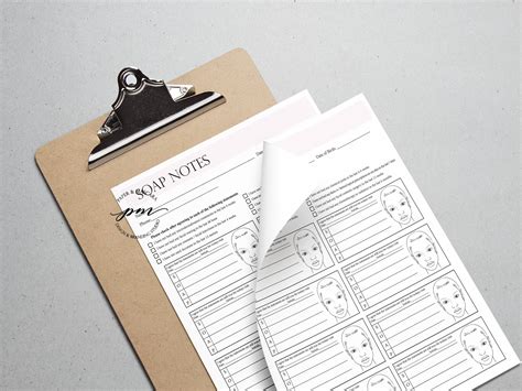 Esthetician Soap Notes Clickable Esthetician Consultation Etsy