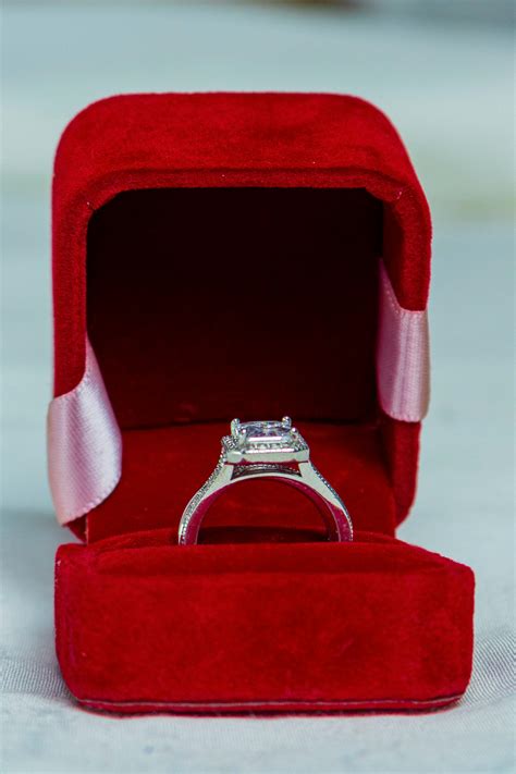 Silver Starlets Violette Photos Download The Best Free Silver Starlets