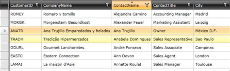 Wpf Dataservicedatasource Sorting Through Radgridview Telerik Ui