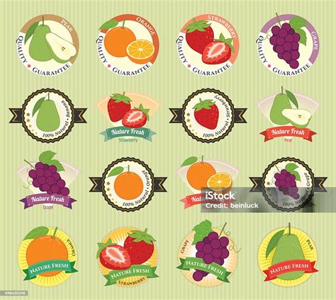 세트마다 다양한 신선 과일 및 야채 프리미엄 품질 술래잡기 레이블입니다 덩굴에 대한 스톡 벡터 아트 및 기타 이미지 덩굴 딸기 0명 Istock