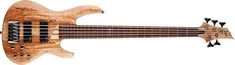 Best String Bass Guitars To Elevate Your Sound