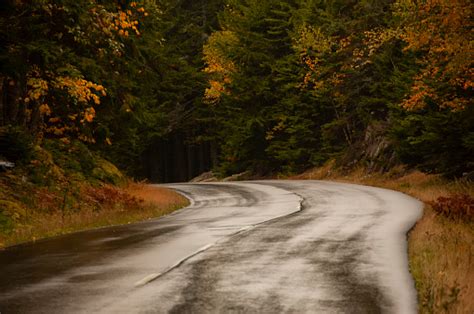 비가 내린 후 젖은 아스팔트 도로는 길가의 화려한 가을 숲과 붉은 단풍 사이입니다 가을에 대한 스톡 사진 및 기타 이미지 가을 비 숲 Istock