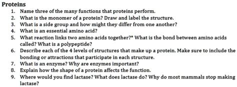 Proteins 1 Name Three Of The Many Functions That Proteins Perform 2