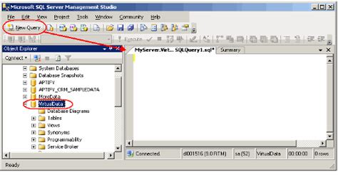 Creating A View In A Local Database To Point To A Virtual Entity Data