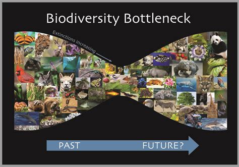 The Biodiversity Bottleneck Taming The Technospheretaming The Technosphere