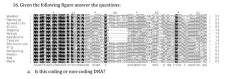 Given The Following Figure Answer The Questions Chegg