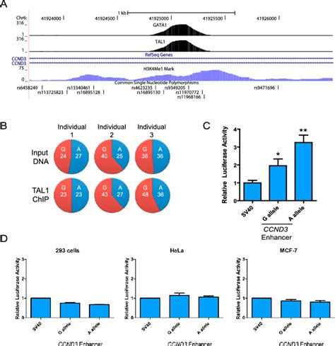 Gwass Reveal A Genetic Variant Affecting An Erythroid Specific Download Scientific Diagram