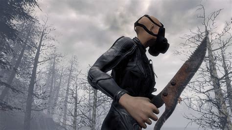 Solved No Wetness Effect On Character While Raining Fallout 4