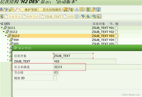 Sap Bw层级结构小结andand属性数据源专家例程实现层级结构增强加载 Csdn博客 Sap Bw层级结构小结andand属性数据源专家例程实现层级结构增强加载 Csdn博客