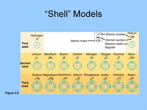 The Building Blocks Of Biology Ppt Download