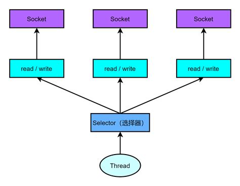 Netty入门 Selector介绍和原理 弟弟快看教程
