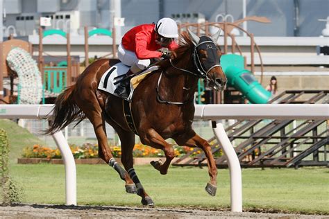 川崎競馬倶楽部ブログ 川崎所属馬の遠征情報（9月12日遠征分） 園田：園田プリンセスカップにラブミールイスが参戦