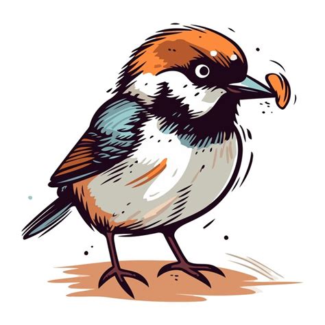 Premium Vector Hand Drawn Vector Illustration Of A Chaffinch On A