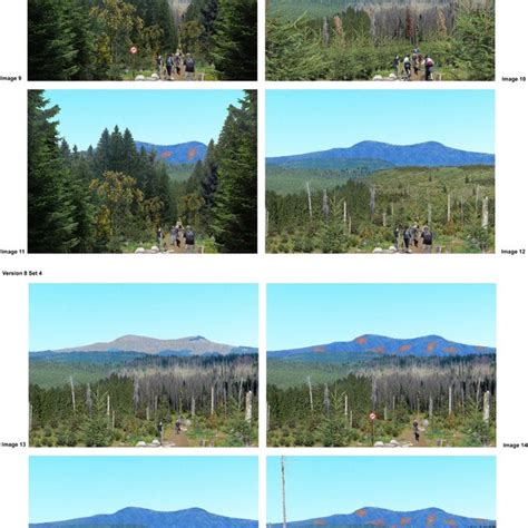 Examples Of Four Choice Sets Consisting Of Six Visual Variables With Download Scientific