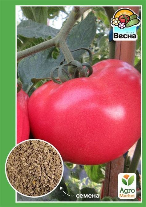Томат Рожева перлина ТМ Весна 0 2г купити поштою в Одесі Києві Україні Agro Market