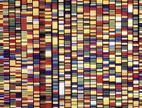 Decoding Human Origins Unveiling The Secrets Of Ancient DNA The Oxford Scientist