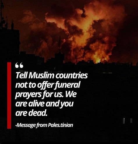 aadil memon posted on linkedin