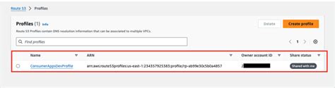 Using Amazon Route 53 Profiles For Scalable Multi Account Aws Environments Networking