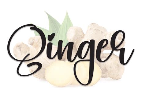 Ginger Regular Premium Font