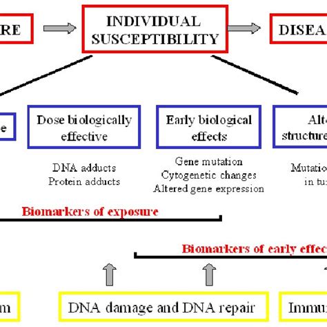 Pdf Biomarkers For Early Detection Of Malignant Mesothelioma