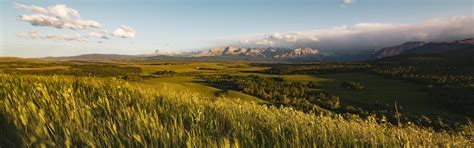 Stakeholder Engagement — Rangeland Engineering