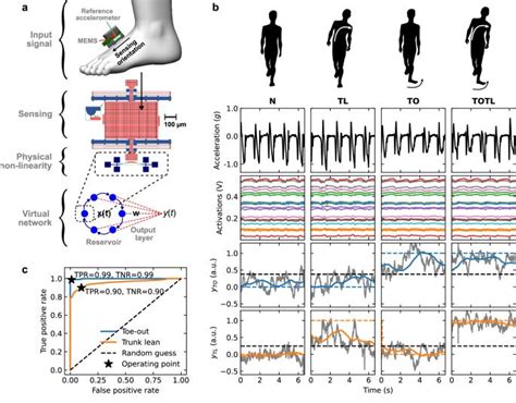 Bruno Barazani Phd Peng On Linkedin In Sensor Human Gait Analysis With Machine Learning In A