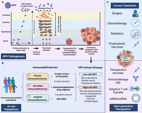 Human Papillomavirus Std Meaning