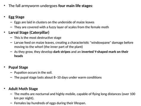 Insect Pests Of Maize Pptx Their Management Pptx