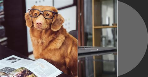 List Data Analytics Curated By Andrew Medium