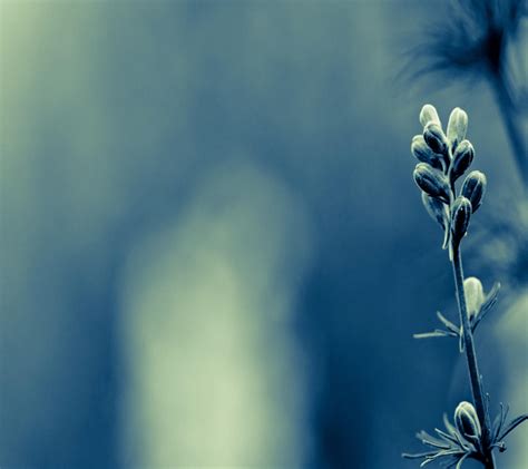 هیات مدیره انجمن صنفی مهندسان مشاور طراح و ناظر ساختمان استان تهران