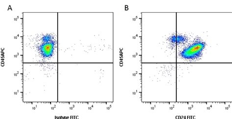 Anti Human Cd24 Antibody Clone Sn3 Bio Rad