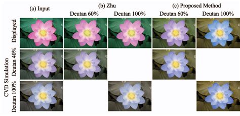 Figure 2 From Perceptual Uniformity Aware Image Recoloring Method For Red Green Anomalous