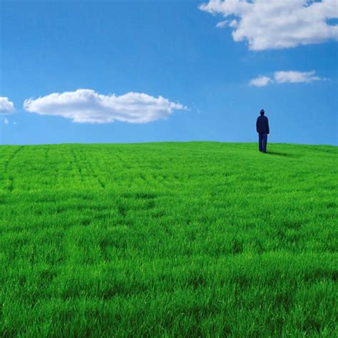 Tribework Dispelling The ‘greener Grass Myth