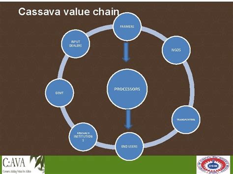 C AVA GHANA PROJECT Cassava Adding Value For
