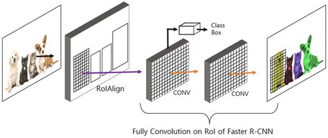 Cattle Weight Estimation Using Fully And Weakly Supervised Segmentation From 2d Images