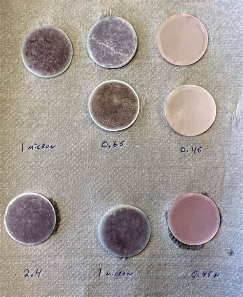 Improving Wine And Beer Quality With SDI Testing For Optimal Filtration Layout S O S FILTRATION
