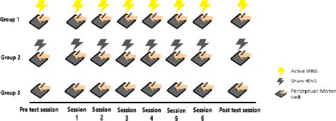 The Effect Of Transcranial Random Noise Stimulation On The Movement Time Esmaeel Saemi