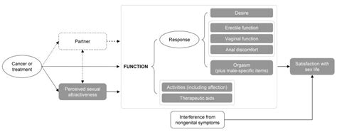 Using Cognitive Interviews To Evaluate Items For Measuring Sexual Functioning Across Cancer