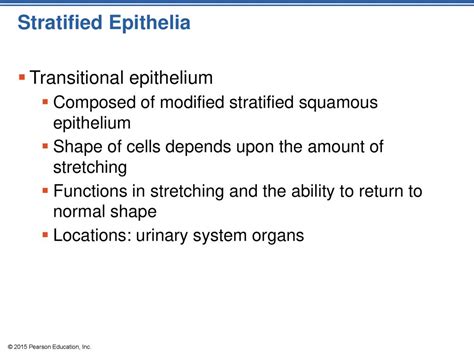 © 2015 Pearson Education Inc Ppt Download
