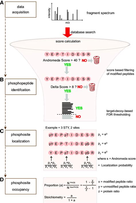Computational Pipeline For High Stringency Identification And