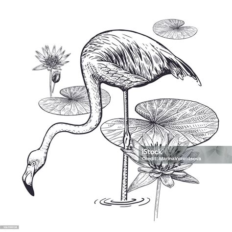 현실적인 손을 플라밍고와 수련 흰색 배경에 고립의 그림 트로피컬 패턴에 대한 스톡 벡터 아트 및 기타 이미지 트로피컬 패턴