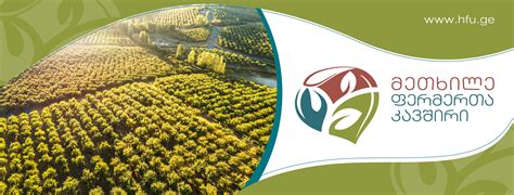 საქართველოს მოცვის მწარმოებელთა ასოციაცია Gbga ლურჯი მოცვის ბაღში აუცილებელია სწორი წამლობეის
