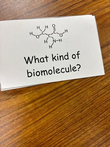 Monomers And Polymers Flashcards Quizlet