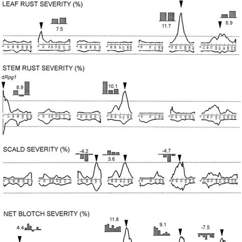 Scans Of A Test Statistic For Simple Interval Mapping For Qtl Main Download Scientific Diagram