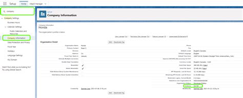 Display Company Information Screen