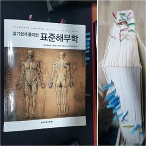 중고샵 표준해부학 알기쉽게 풀이한 예스24