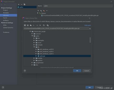 最新最易上手intellij idea配置cplex详细步骤 cplex stutio ide软件怎么调试 csdn博客