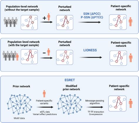 general principles behind methods for inferring sample specific download scientific diagram