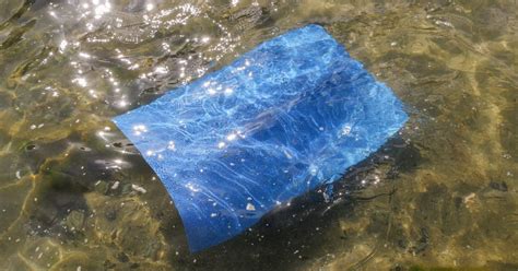 Edit With Elementor Not Showing Up Relementor