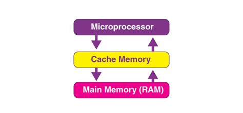 Understanding RF Value In Chromatography Testbook